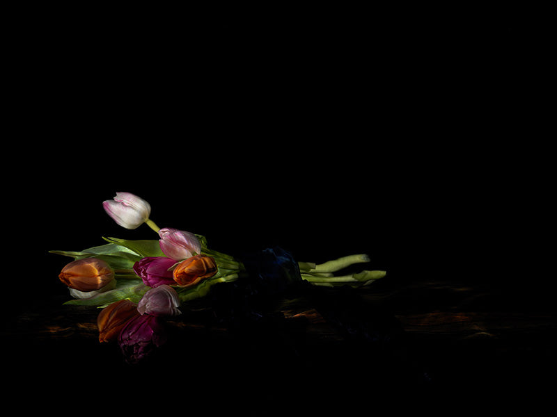 a tied bunch of tulips vanitas on wooden table with silk photography ...