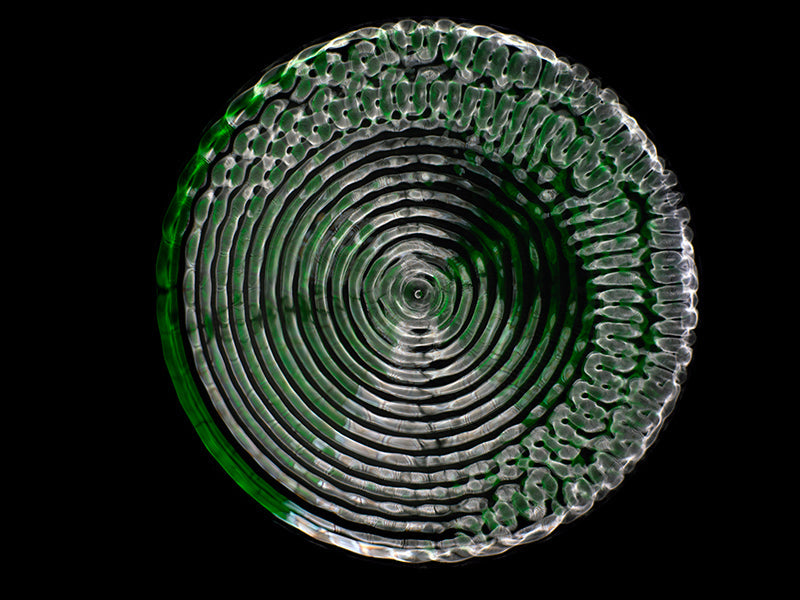 Physics in Focus: Cymatics Photography Unravels the Mysteries of Gravi ...