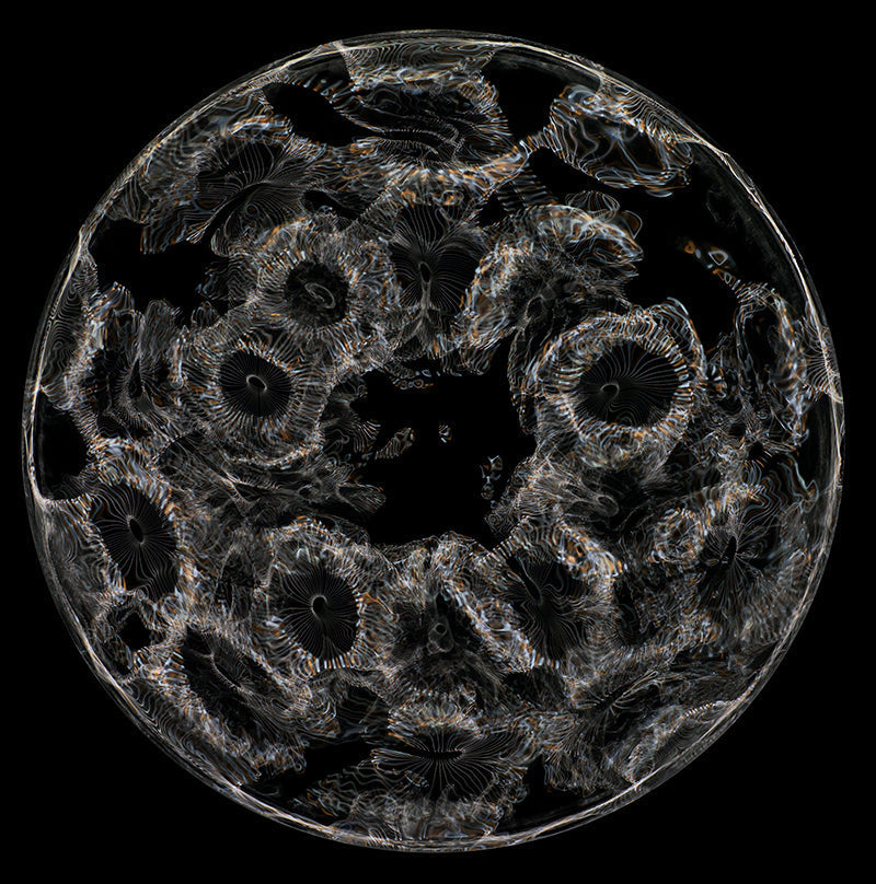 Quantum Symphony: Cymatics Photography Chronicles the Sonorous Gravita ...