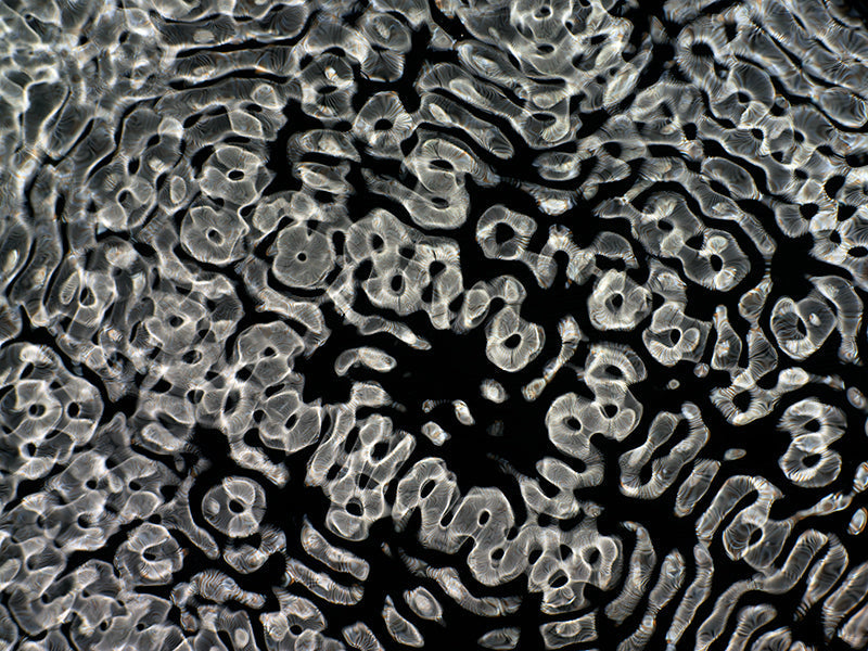 Design Vision: Gravitational Waves Visualized in Cymatics Photography ...