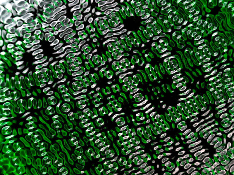 Water Light Science Experiments Cymatic Water and Light Liqu – Distil ...